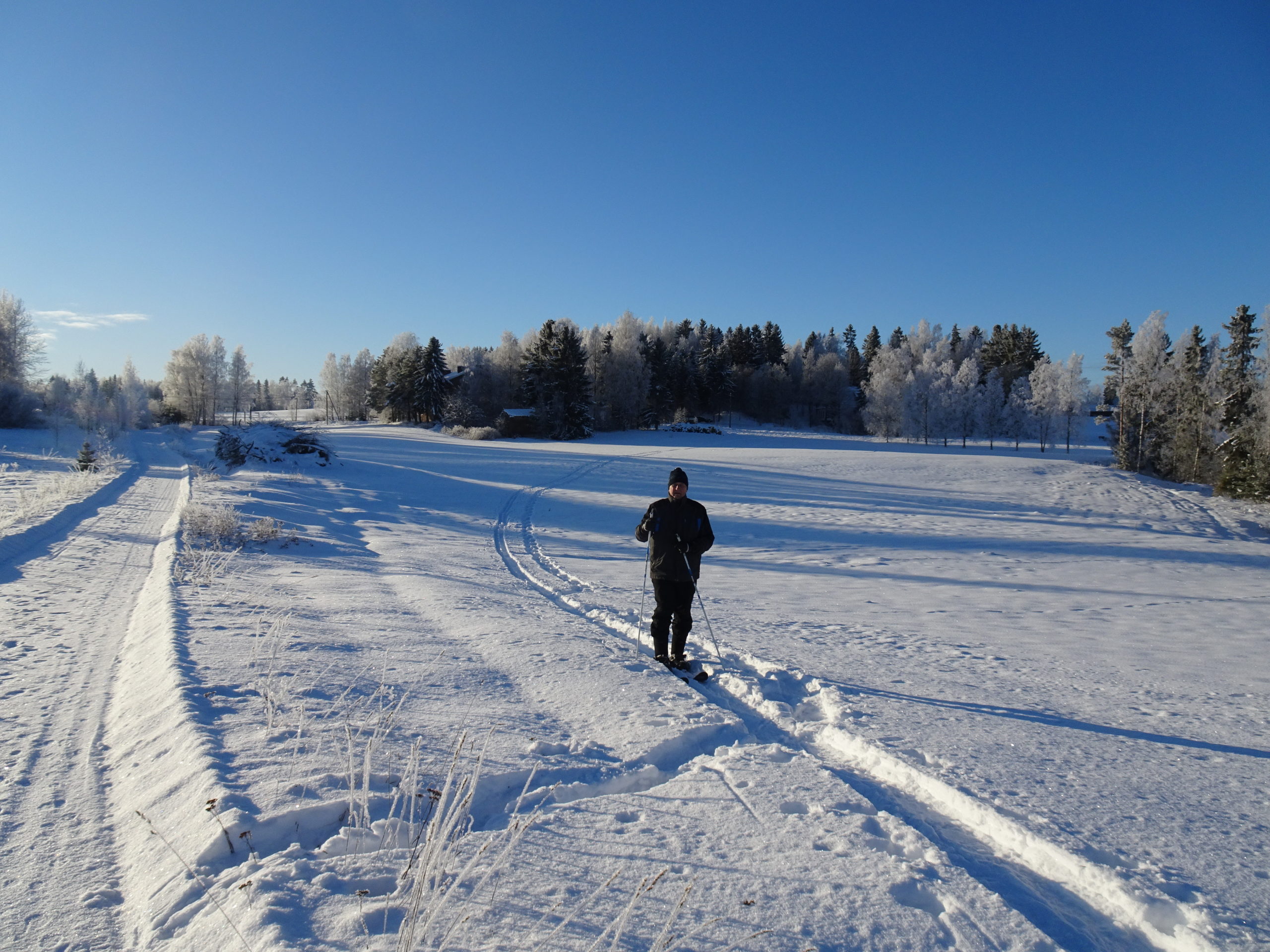 DSC02457 | Panu Rajala